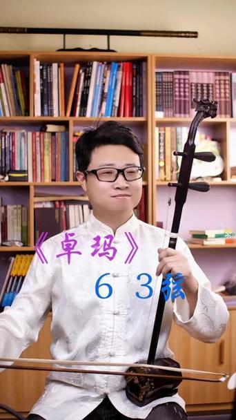 二胡最好的弦第一名图标