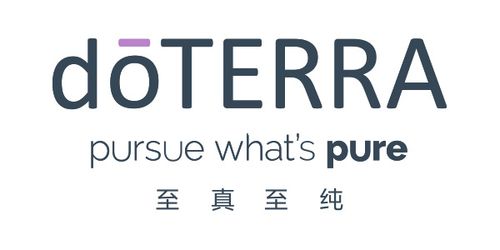 多特瑞真的那么神奇吗截图