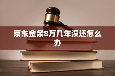 京东金条8万几年没还怎么办图标