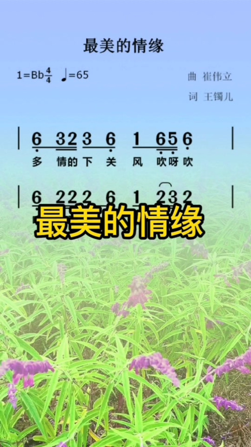 《最美的情缘》图标