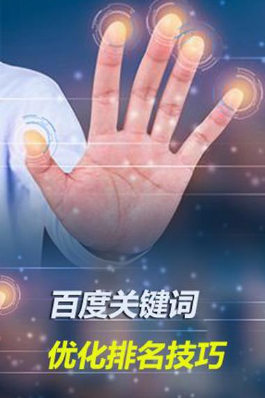 百度搜索关键词排名优化推广图标