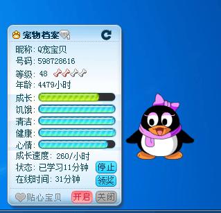 qq宠物在哪里打开图标