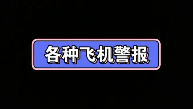 飞机吵架(警报版)图标