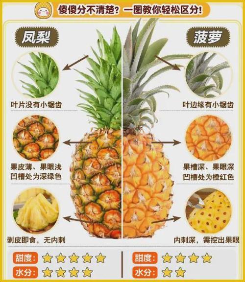 凤梨和菠萝一样吗?有什么区别截图
