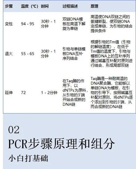 pcr检测多少钱图标