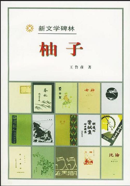 小说柚子图标