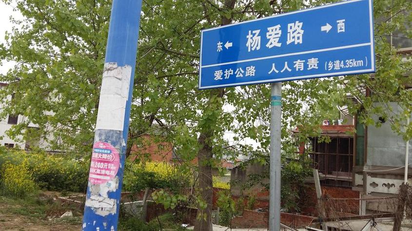 南京西祠胡同首页官网图标