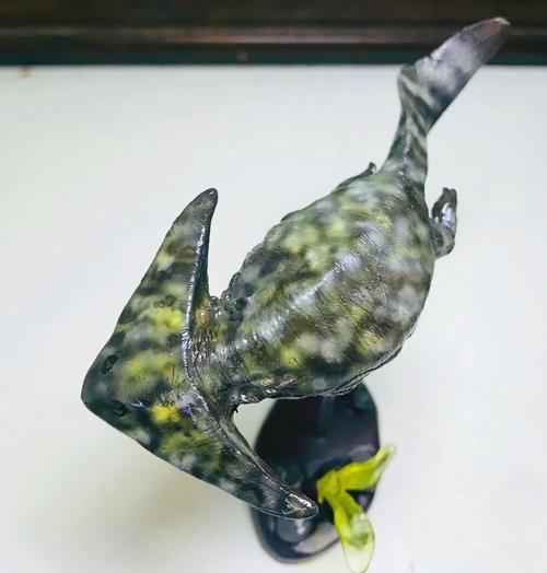 怀旧服小德水栖形态任务图标