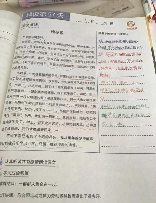 种梨阅读答案图标
