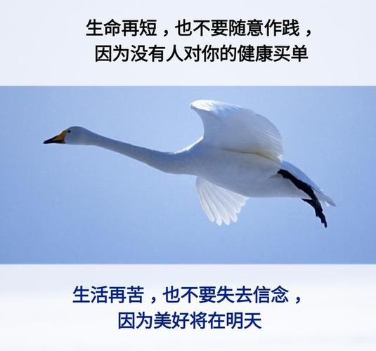 现代人生图标