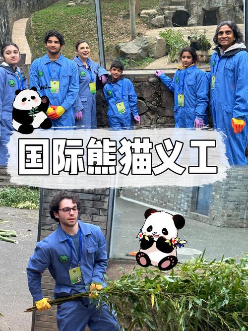熊猫互赞助手截图