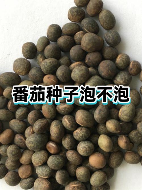西红柿里面没有籽是怎么回事图标