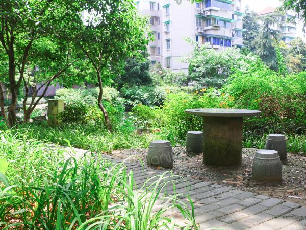 采荷翠柳图标