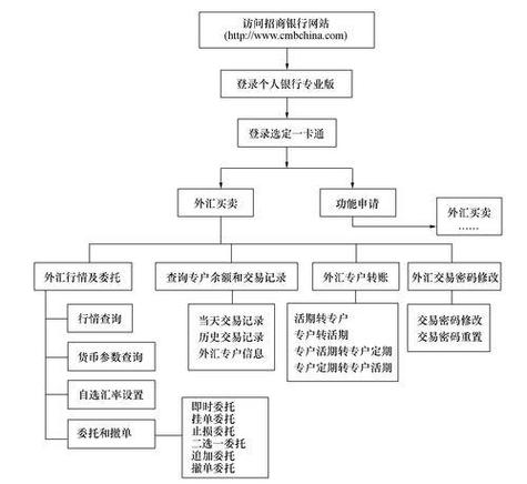 外汇转入国内账户流程图标