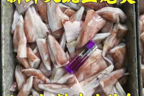 大鱿鱼怎么处理图标