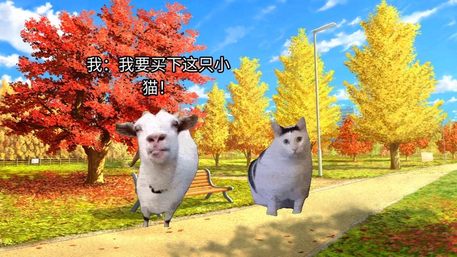 猫meme剧场全集图标