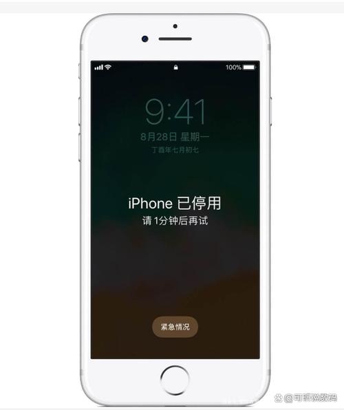 苹果忘记开机密码图标
