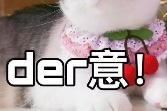 骂人的der是什么意思截图