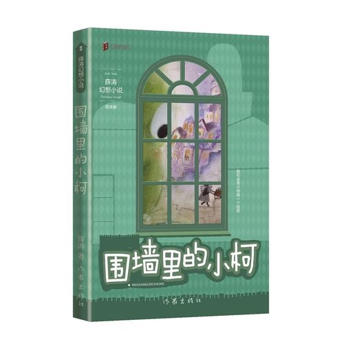 围墙之外小说