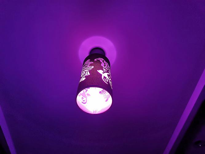 yeelight彩光灯泡截图