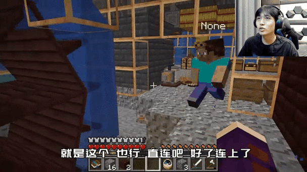 我的世界100天生存视频合集