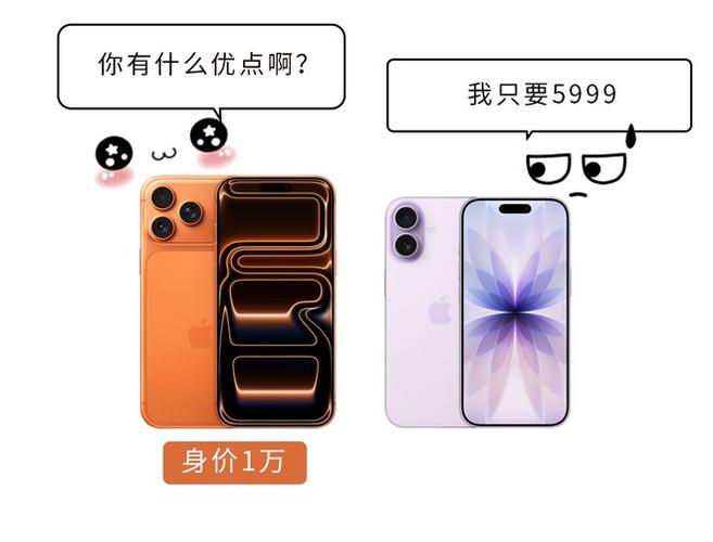 手机的pro是什么意思