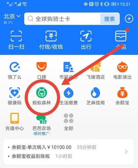 支付宝进蚂蚁森林很慢图标