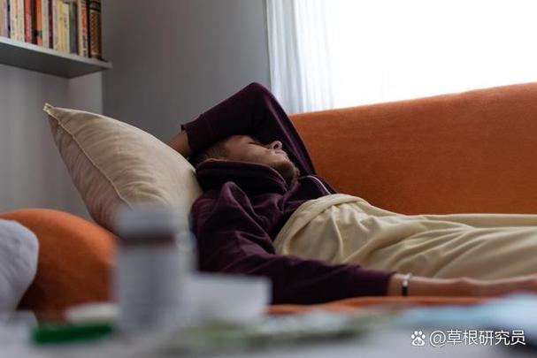 妈妈中午在客厅睡午觉图标