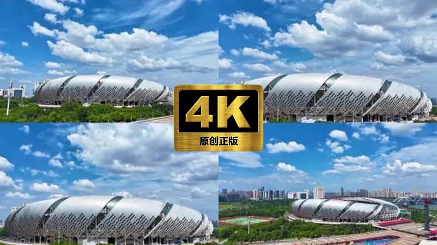 tt追踪国体直装下载图标