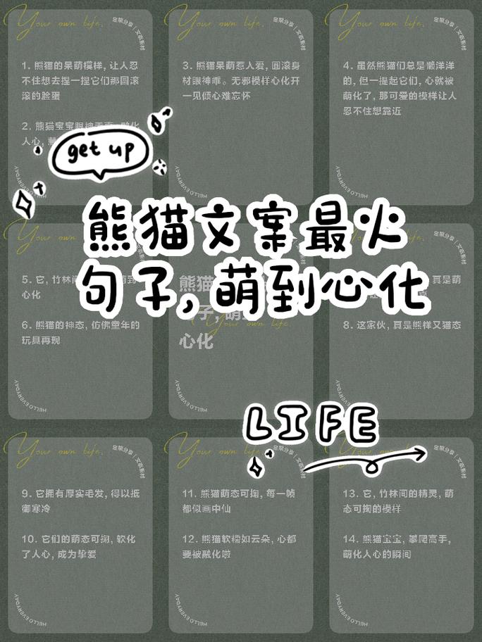 熊猫文案短句经典语录