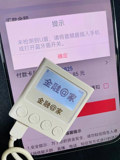 银行的u盾过期了怎么办图标