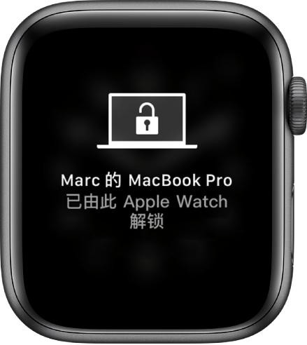 苹果手表提示输入密码图标