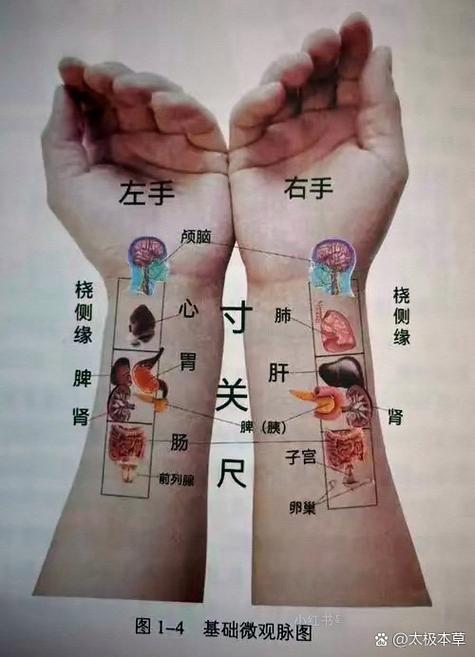 脉诊口诀图标