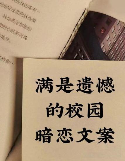 满是遗憾的校园暗恋随笔截图