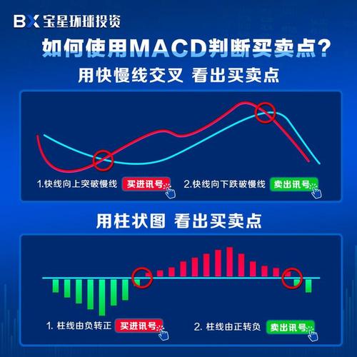 宝星环球怎么样图标