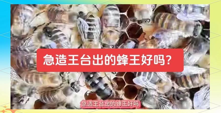 谁发明的蜜蜂试卷图标