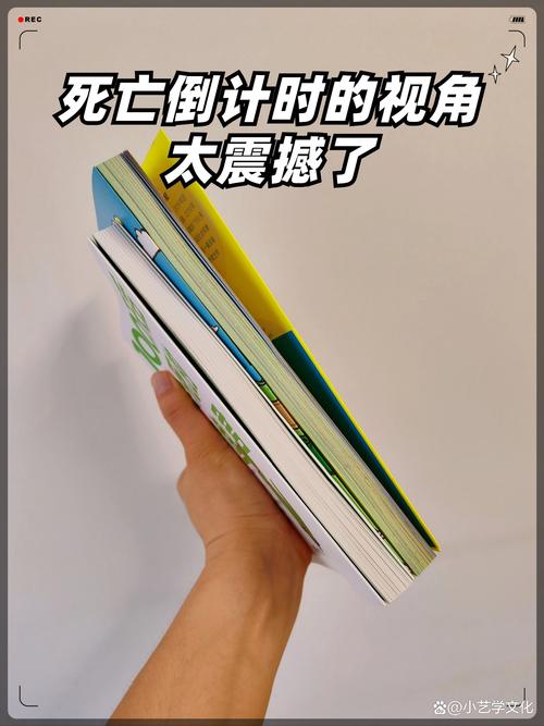 视界之窗卸载了后果图标