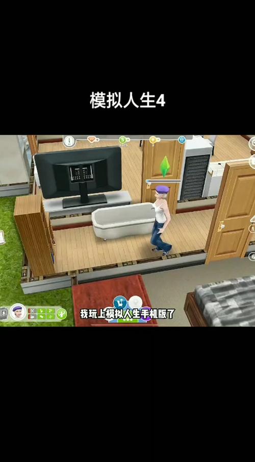 虚拟人生4图标