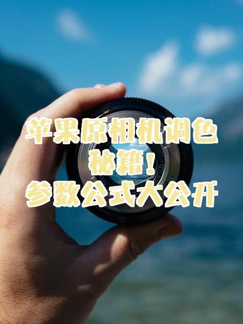 苹果调色参数截图
