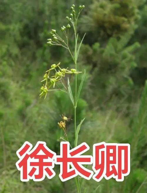 草药学怎么升图标
