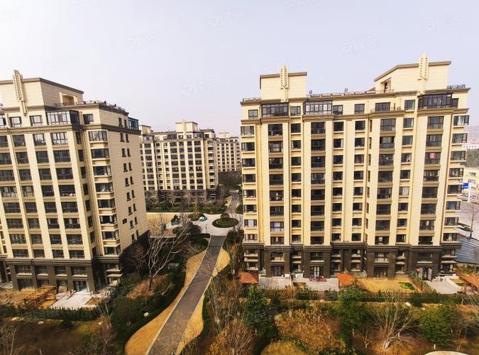 泰安都市森林最新动态