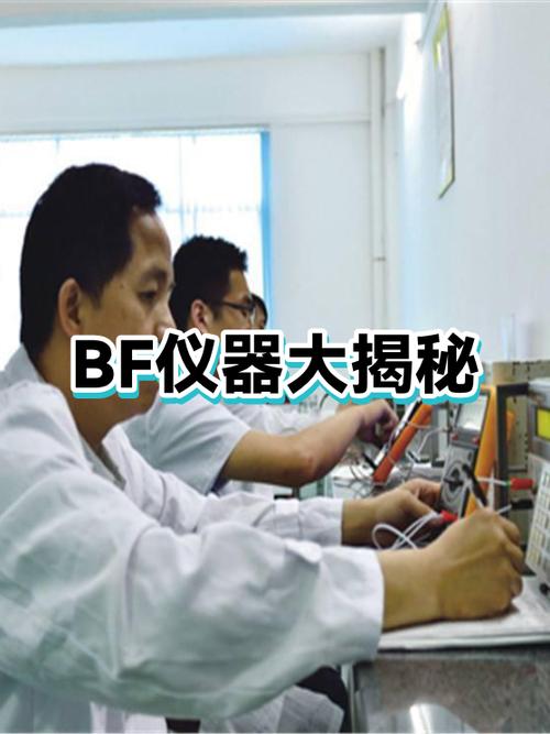 bf有几种意思图标