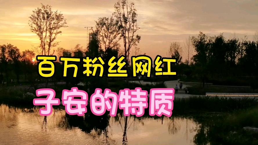网红子安的身价多少亿图标