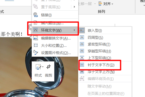 照片下面怎么添加文字图标