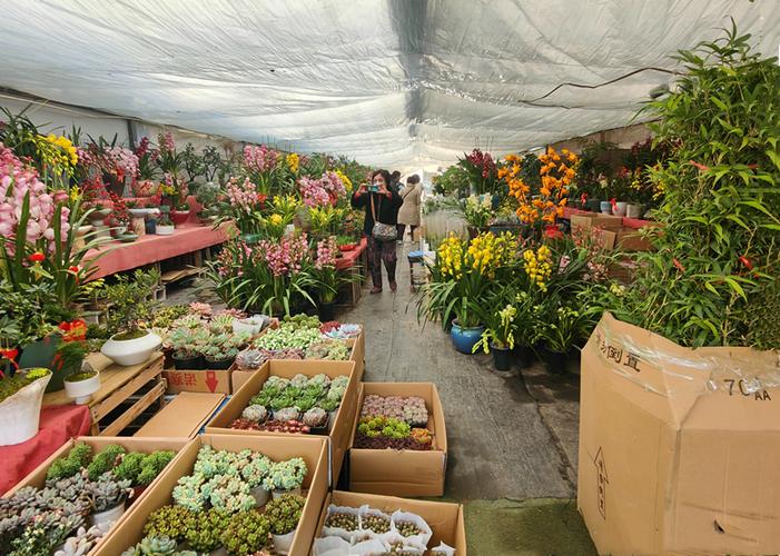 批发鲜花市场地址图标