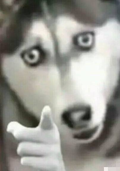 指人表情包图标