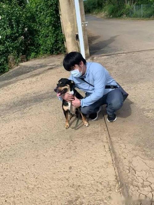 流浪狗会自己选主人截图