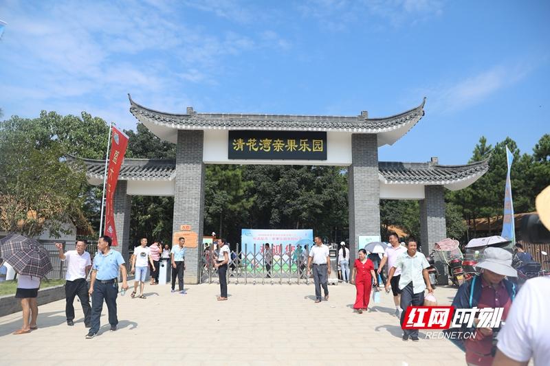 青果掌上乐园图标
