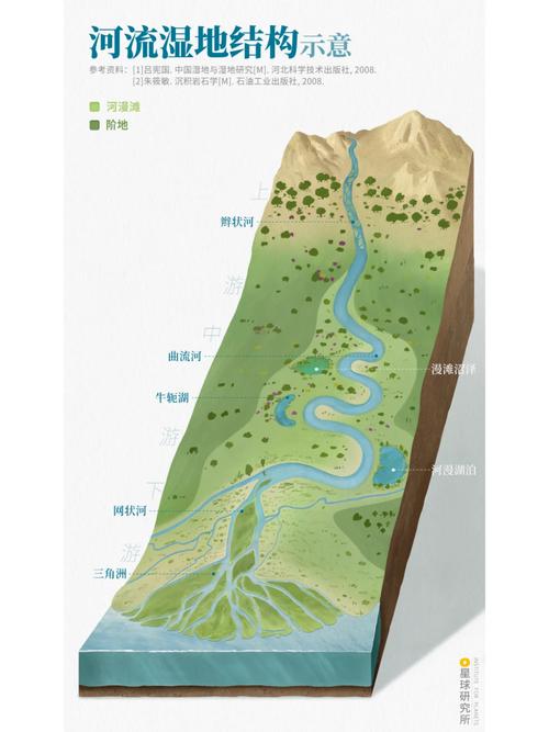 湿地的三大特征图标