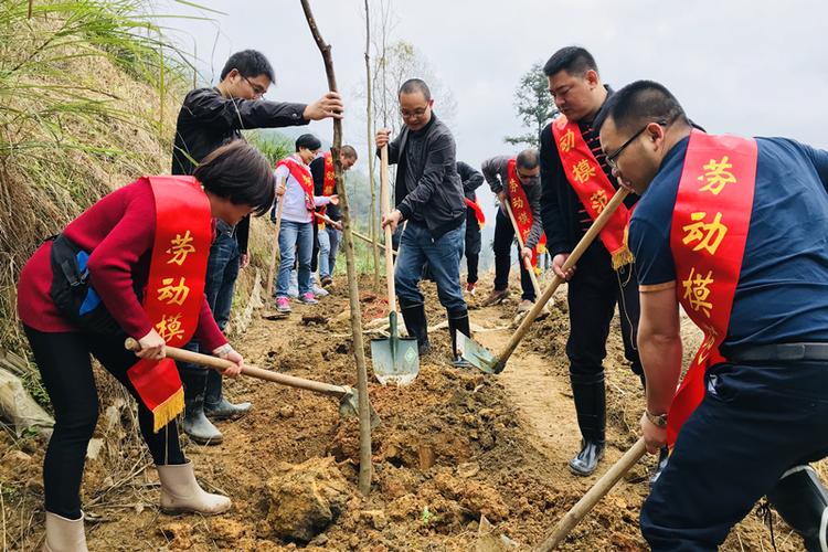 植树造林感动中国人物图标